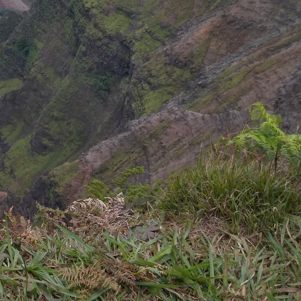 Aloha-Wai – Lomi Massagen – Hawai'ianische Körperarbeit